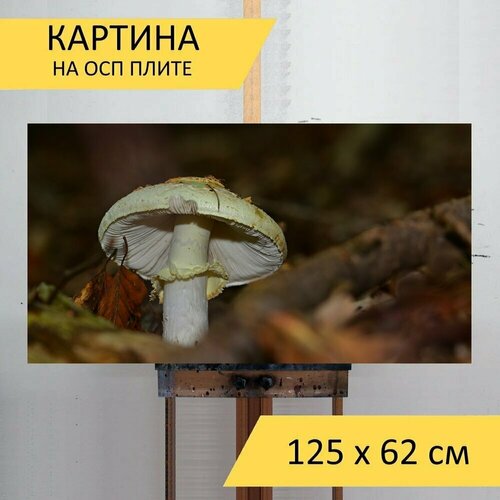Картина на ОСП 125х62 см. "Падение, лес, гриб" горизонтальная, для интерьера, с креплениями