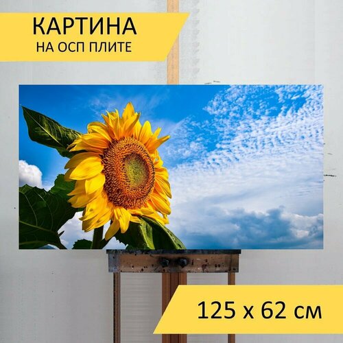 Картина на ОСП 125х62 см. "Подсолнечник, цветок, облако" горизонтальная, для интерьера, с креплениями