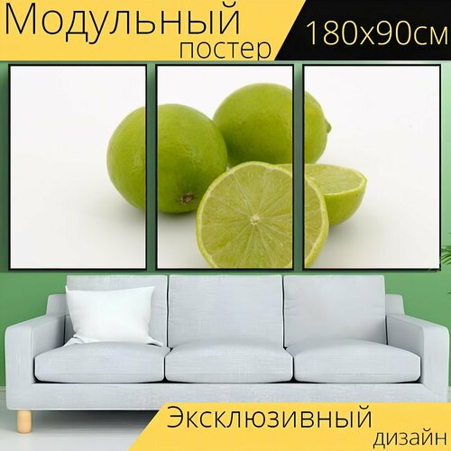 Модульный постер "Лайм, лимоне, цитрусовые" 180 x 90 см. для интерьера
