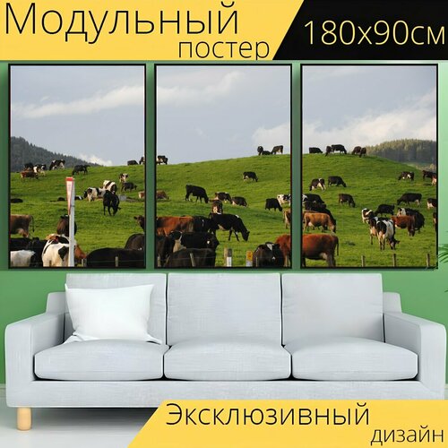 Модульный постер "Коровы, пастбище, крупный рогатый скот" 180 x 90 см. для интерьера