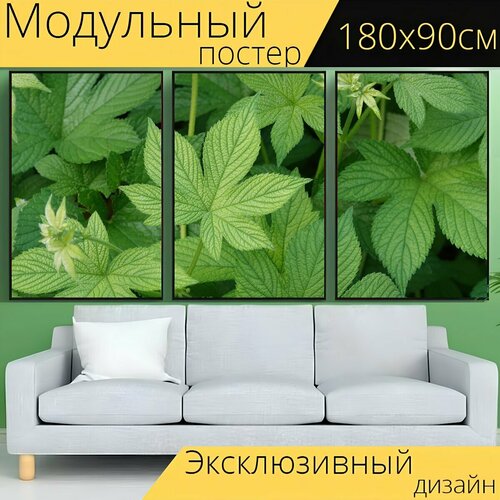 Модульный постер "Зеленый клен, клен, кленовые листья" 180 x 90 см. для интерьера