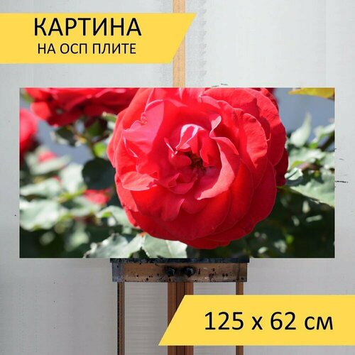 Картина на ОСП 125х62 см. "Роза, красная роза, романтичный" горизонтальная, для интерьера, с креплениями