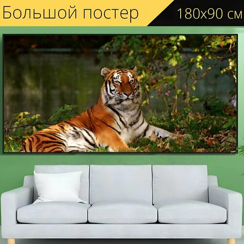 Большой постер "Тигр, хищник, шерсть" 180 x 90 см. для интерьера