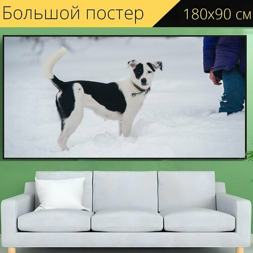 Большой постер "Черный и белый собака, собака, снег" 180 x 90 см. для интерьера