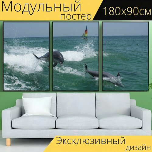Модульный постер "Дельфины, океан, морской" 180 x 90 см. для интерьера