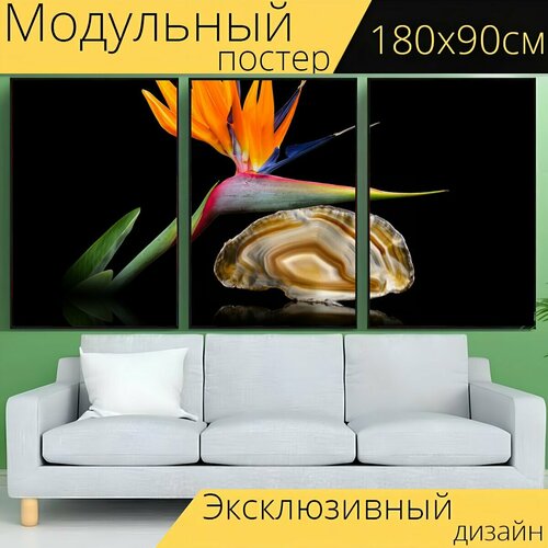 Модульный постер "Цветок райская, агат сердолик, кварц" 180 x 90 см. для интерьера