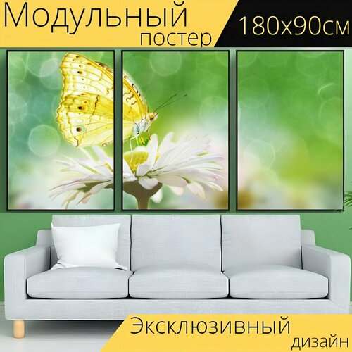 Модульный постер "Бабочка, маргаритка, природа" 180 x 90 см. для интерьера