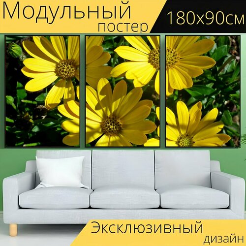 Модульный постер "Цветы, желтый, весна" 180 x 90 см. для интерьера