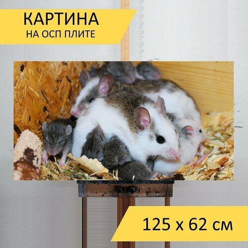 Картина на ОСП 125х62 см. "Мышей, много сосков мышей, милый" горизонтальная, для интерьера, с креплениями