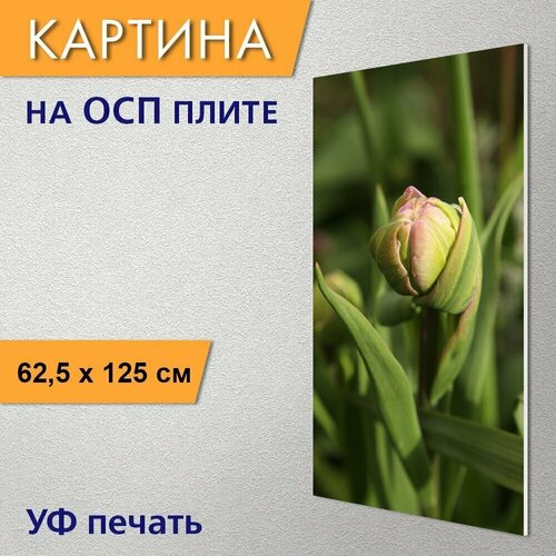 Вертикальная картина на ОСП "Тюльпан, сад, весна" 62x125 см. для интерьериа