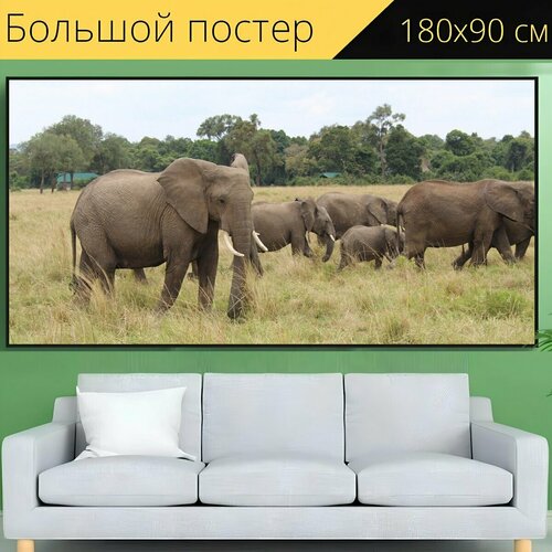 Большой постер "Слоны, животные, луг" 180 x 90 см. для интерьера