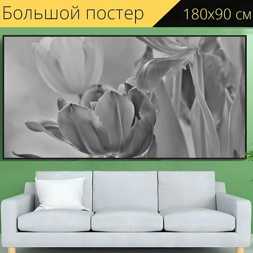 Большой постер "Тюльпан, природа, цветок" 180 x 90 см. для интерьера