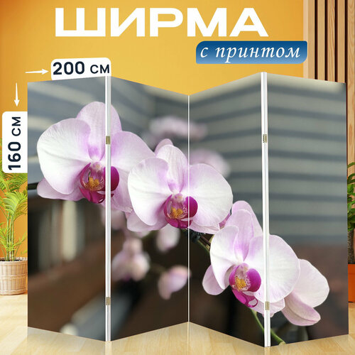 Ширма перегородка с принтом "Орхидея, закрыть, завод" на холсте - 200x160 см. для зонирования, раскладная