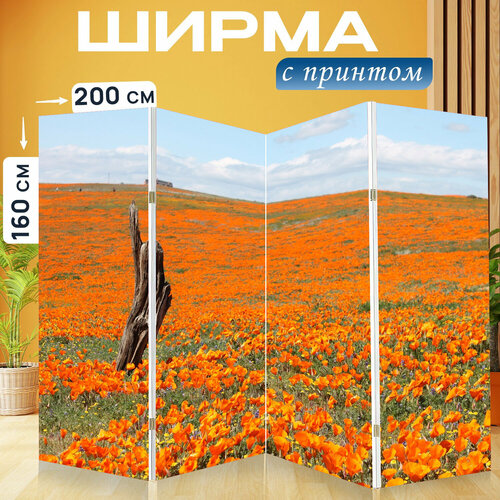 Ширма перегородка с принтом "Маки, цветы, поле" на холсте - 200x160 см. для зонирования, раскладная