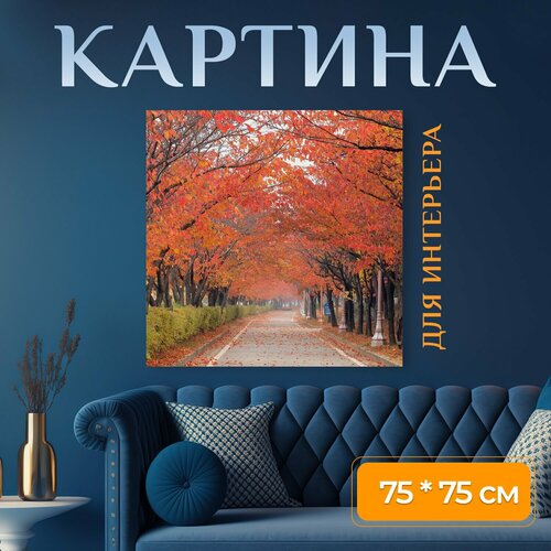 Картина на холсте "Осенние деревья, падение след, осенние листья" на подрамнике 75х75 см. для интерьера