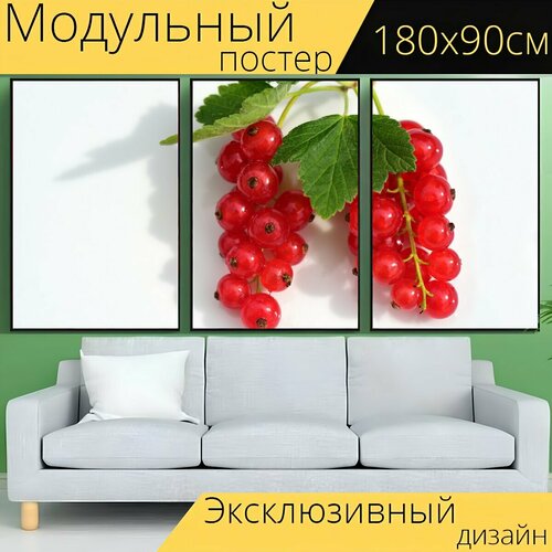 Модульный постер "Смородина, красный, фрукты" 180 x 90 см. для интерьера