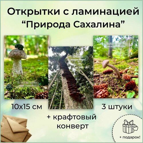 Набор открыток "Природа Сахалина" с ламинацией 10х15 см
