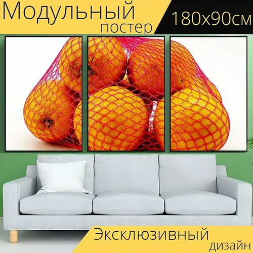 Модульный постер "Апельсины, фрукты, еда" 180 x 90 см. для интерьера