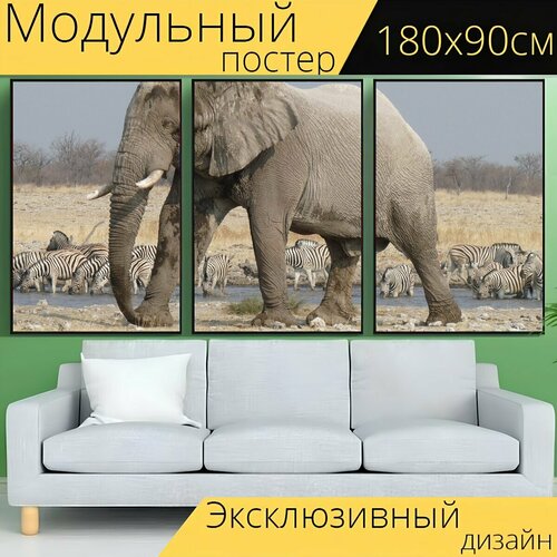 Модульный постер "Слон, этоша, намибия" 180 x 90 см. для интерьера