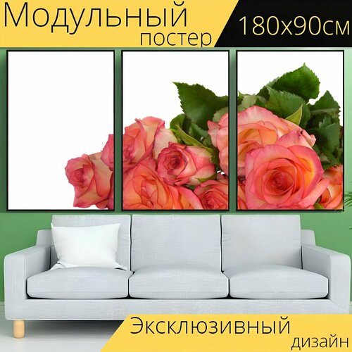 Модульный постер "Роза, цветы, природа" 180 x 90 см. для интерьера
