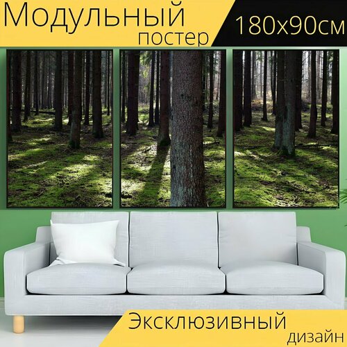 Модульный постер "Лес, пейзаж, природа" 180 x 90 см. для интерьера