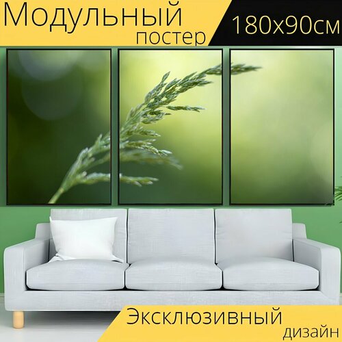Модульный постер "Трава, лезвие, зеленый" 180 x 90 см. для интерьера