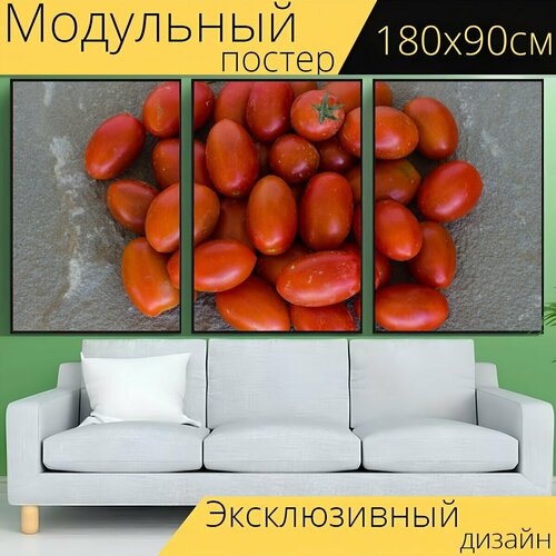 Модульный постер "Помидоры, томаты черри, вкусный" 180 x 90 см. для интерьера