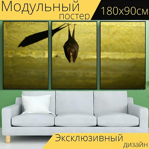 Модульный постер "Летучая мышь, животные, симпатичные" 180 x 90 см. для интерьера