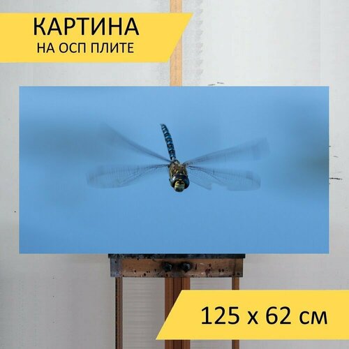 Картина на ОСП 125х62 см. "Стрекоза, насекомое, макрос" горизонтальная, для интерьера, с креплениями