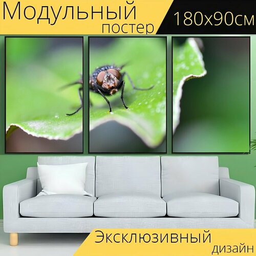 Модульный постер "Летать, насекомое, лист" 180 x 90 см. для интерьера