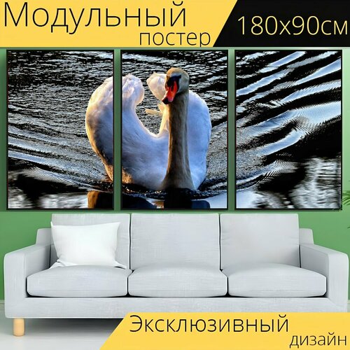 Модульный постер "Лебедь, животное, пруд" 180 x 90 см. для интерьера