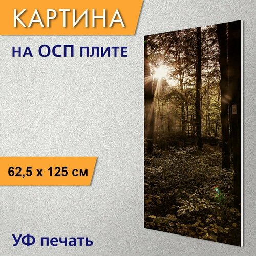 Вертикальная картина на ОСП "Лес, подсветка, осенний лес" 62x125 см. для интерьериа