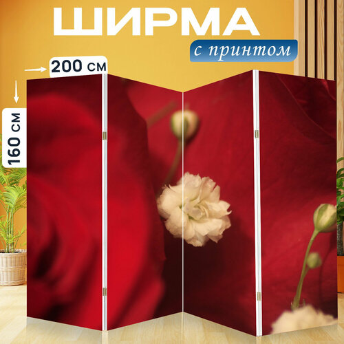 Ширма перегородка с принтом "Розы, красный, цветы" на холсте - 200x160 см. для зонирования, раскладная