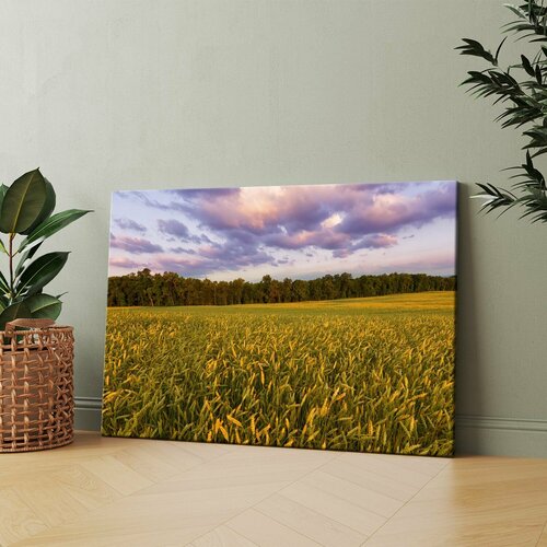 Картина на холсте (Поле пшеницы) 50x70 см. Интерьерная, на стену.