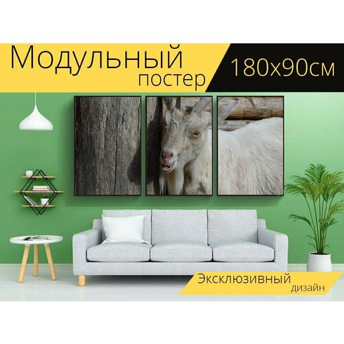 Модульный постер "Козел, козы, животное" 180 x 90 см. для интерьера