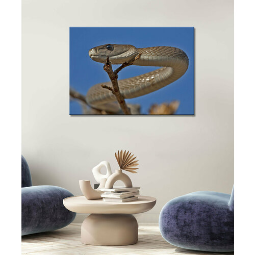 Картина - змея, чёрная мамба, чёрная змея, ядовитая змея, большая змея, кожа змеи (9) 60х80