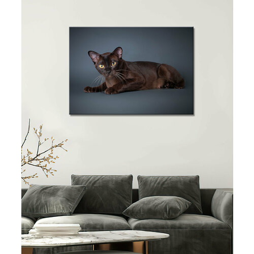 Картина - бурманская кошка, кот, тёмная кошка, ласковая кошка (32) 60х80