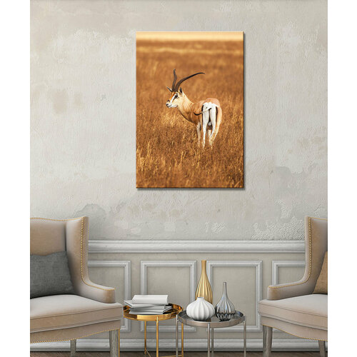 Картина - коричневая антилопа, антилопа , рога антилопы (5) 50х70