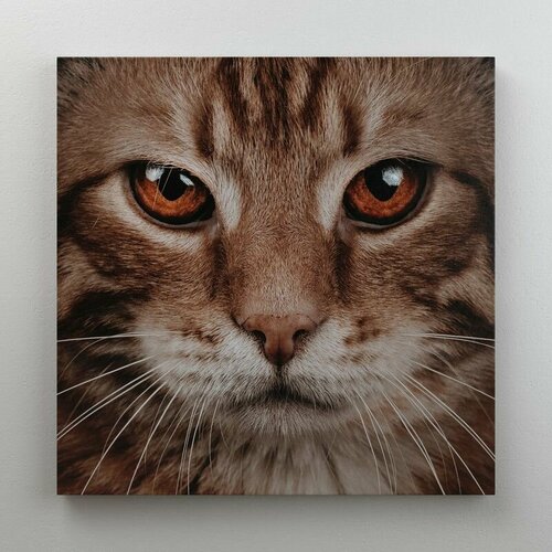 Интерьерная картина на холсте "Оранжевые глаза кота" размер 25x25 см