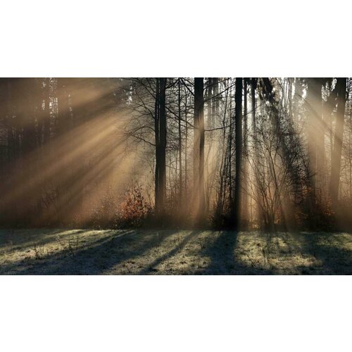 Картина на холсте 60x110 Альянс Лес "Свет утро деревья туман" на подрамнике / интерьер/ декор