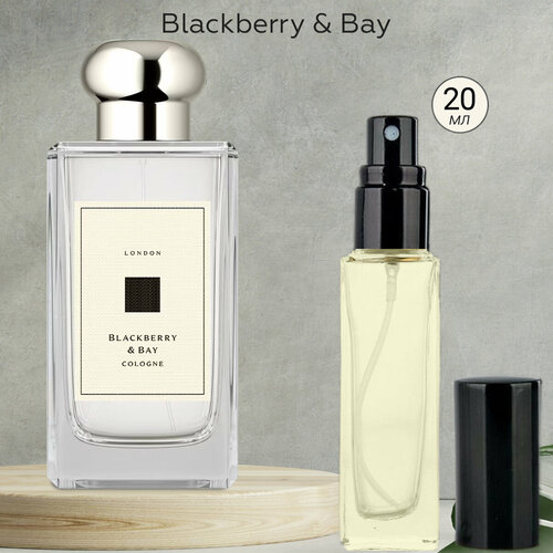 Gratus Parfum Blackberry Bay духи женские масляные 20 мл (спрей) + подарок