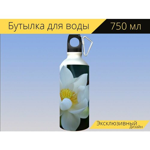 Бутылка фляга для воды "Белый, лотос, цветок" 750 мл. с карабином и принтом