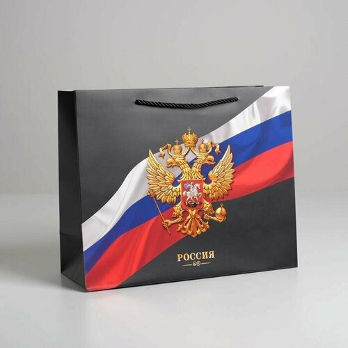 Пакет подарочный, упаковка, «Россия», 32 х 26 х 12 см (комплект из 9 шт)