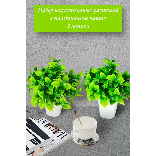 Искусственные цветы в кашпо самшит 2 штуки в комплекте, высота 23 см