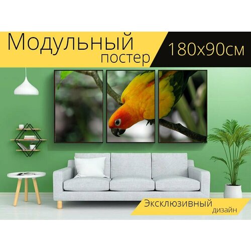 Модульный постер "Попугай, дерево, птица" 180 x 90 см. для интерьера