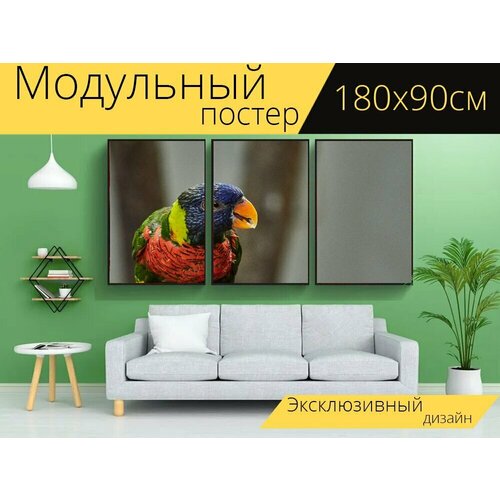 Модульный постер "Мускусный лорикет, попугай, новая гвинея" 180 x 90 см. для интерьера
