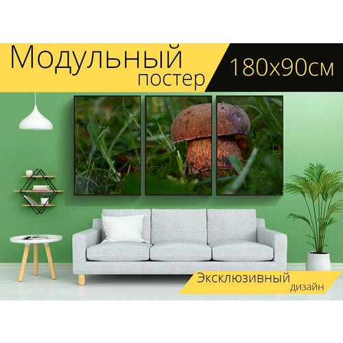 Модульный постер "Гриб, лес, природа" 180 x 90 см. для интерьера