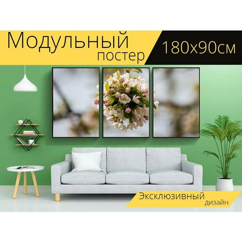 Модульный постер "Цветение яблони, белые цветки, цвести" 180 x 90 см. для интерьера