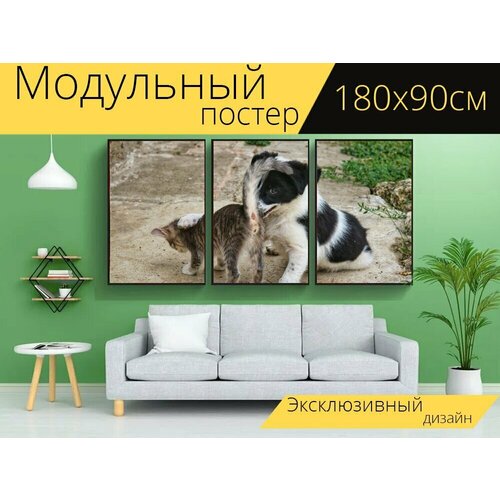 Модульный постер "Собака, кот, игра" 180 x 90 см. для интерьера