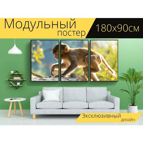 Модульный постер "Обезьяна baby, бабуин, обезьяна" 180 x 90 см. для интерьера